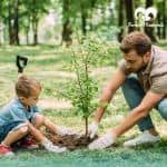 How to Plan a Pet Memorial Service - Furever Memorials